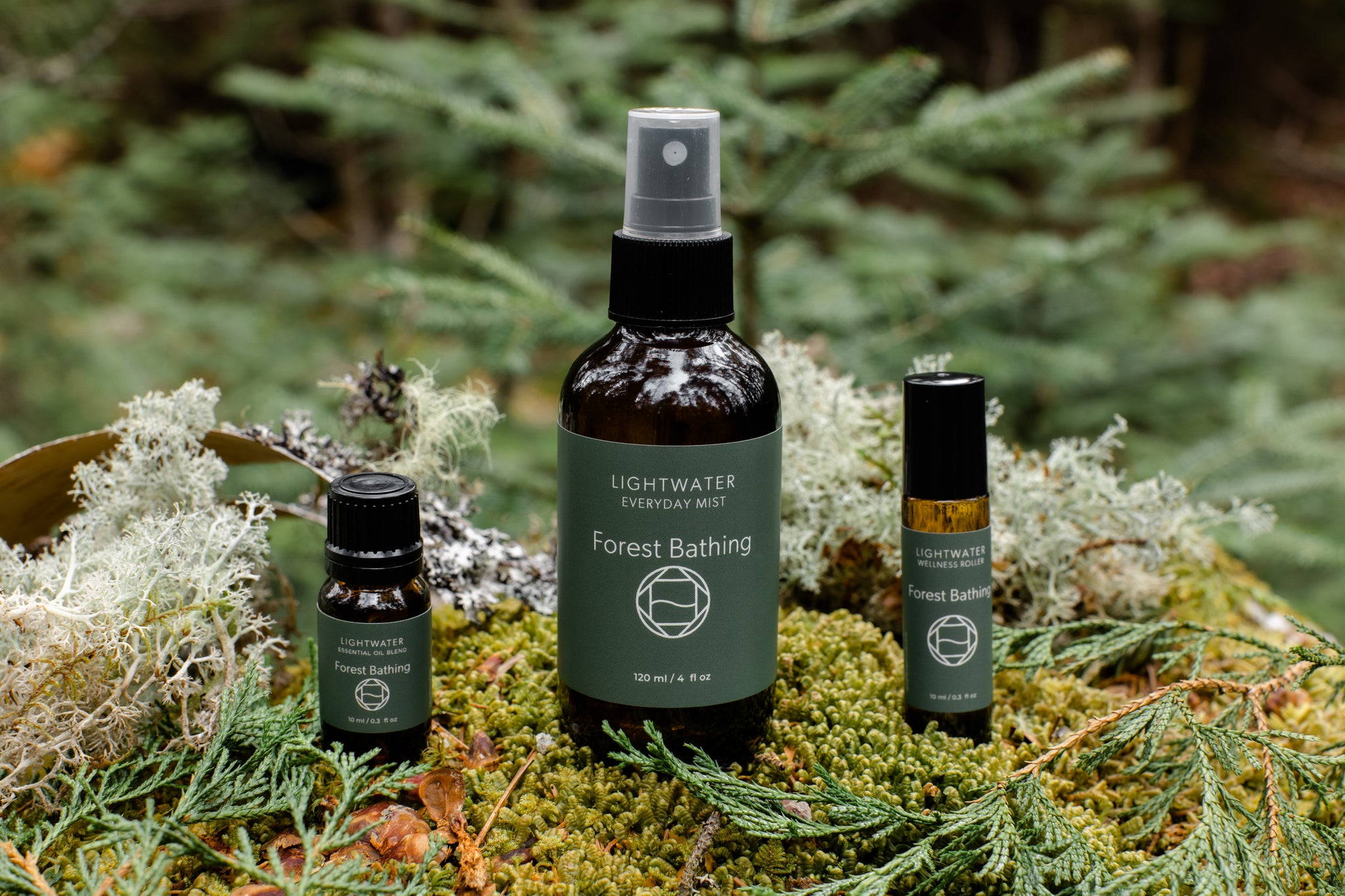 Forest Bathing